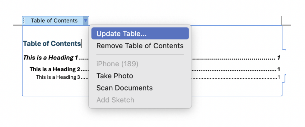 Inserting a Table of Contents and References in Microsoft Word (Mac ...